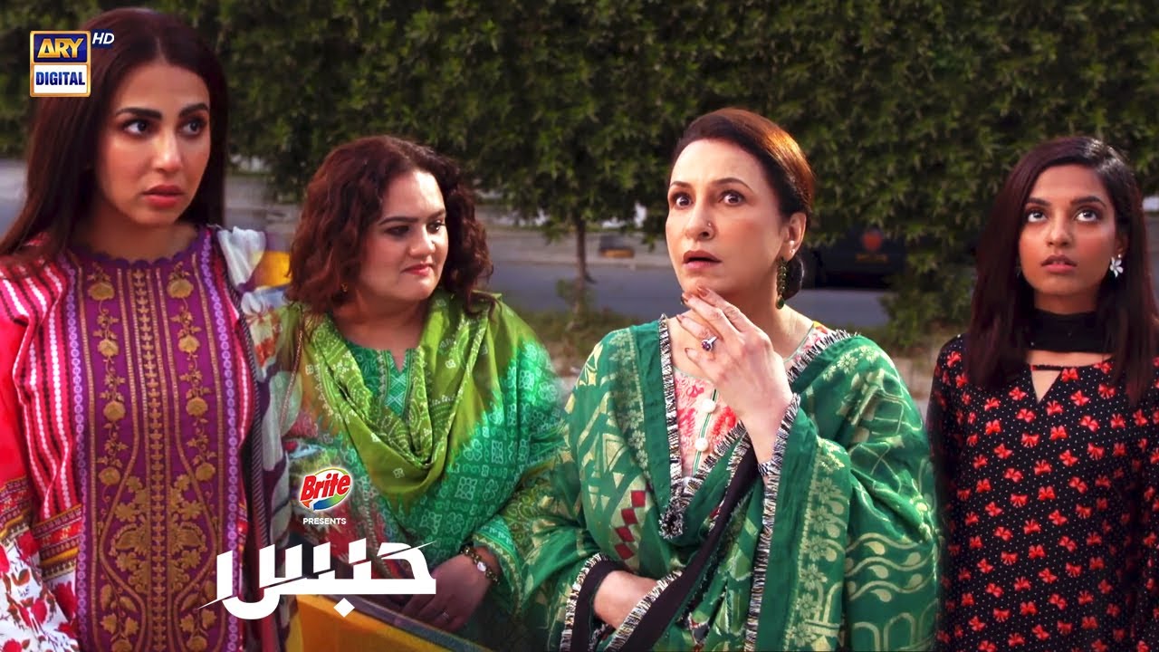 Yeh Ghar hai ya Mehal | Best Scene | #Habs Episode 11 | #ARYDigital ...