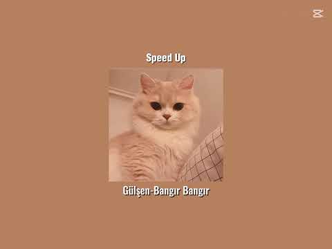 Gülşen - Bangır Bangır (speed up) ♡