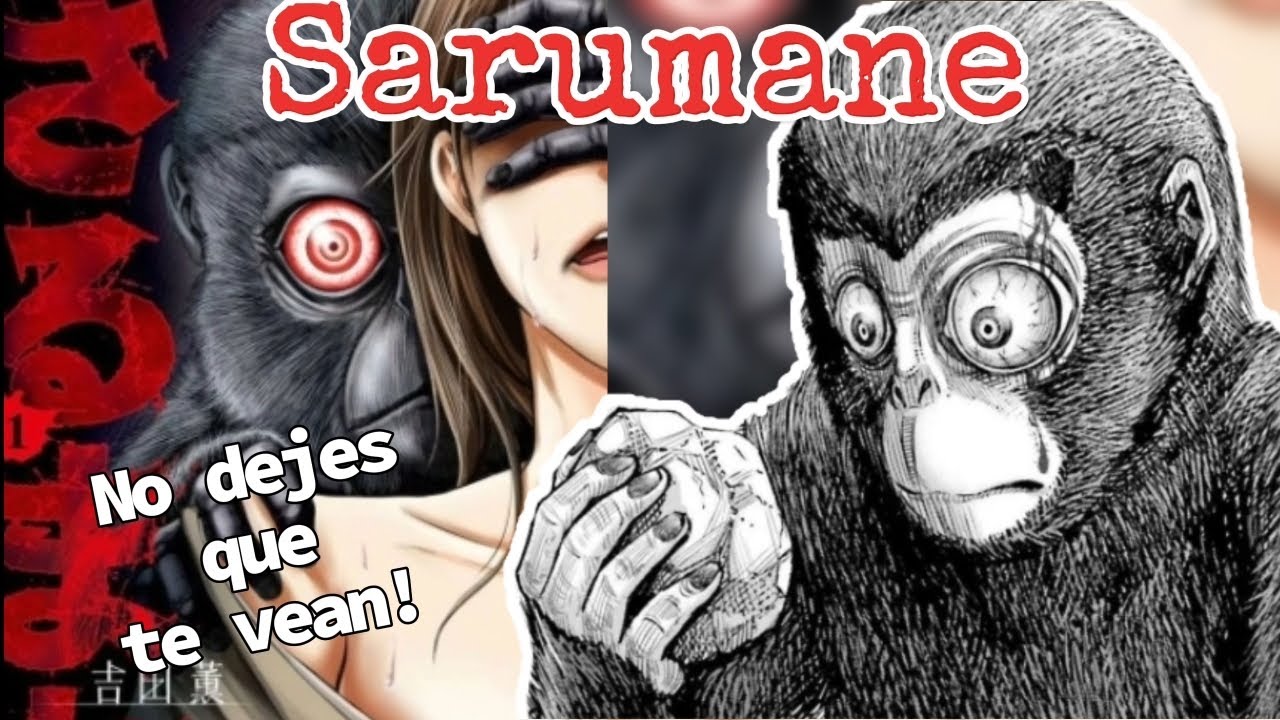 SARUMANE: No dejes que los monos te vean! | Resumen Expres Cap 1-4 ...