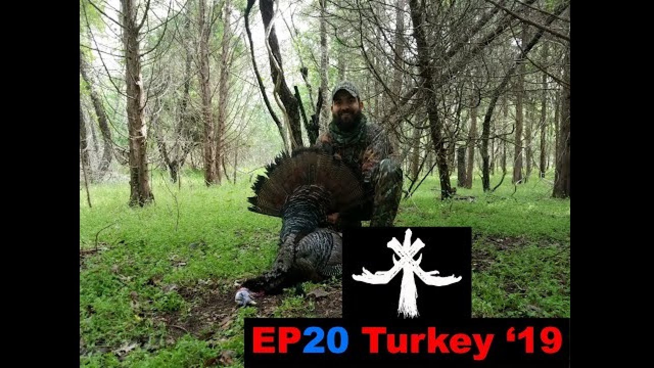 QUICK MID MORNING TURKEY HUNT - LONGBEARD COMES IN FAST - YouTube