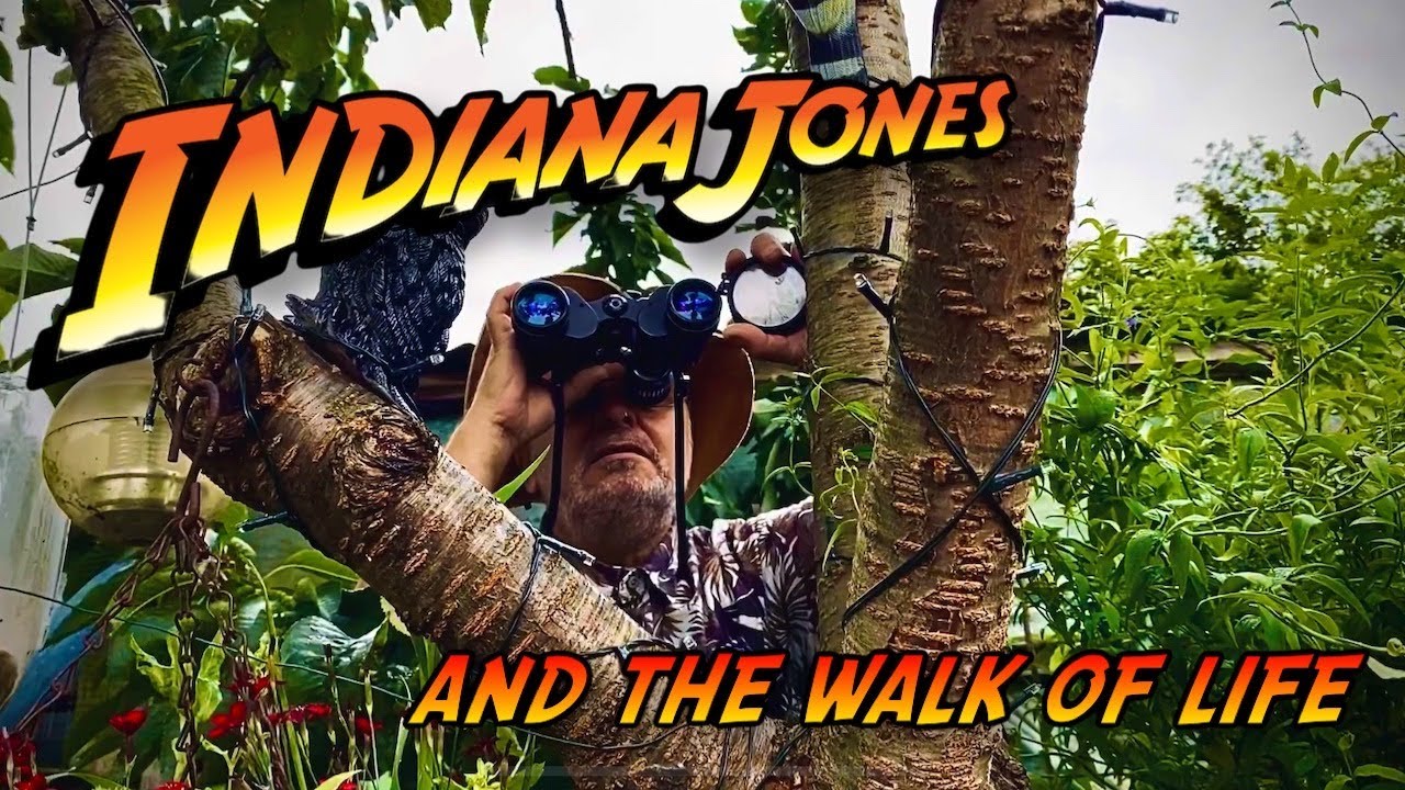 Indiana Jones and the Walk of Life - YouTube