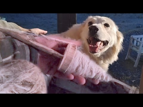 Making a Drop Spindle and Spinning Dog Hair into Yarn | DIY , Homemade ...