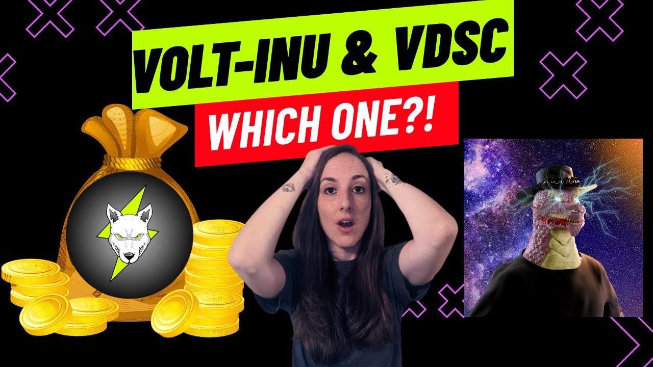 VOLT-INU BAG OR VDSC NFT??? - YouTube