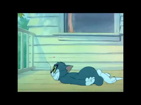 Tom Cat Suffering from CTE for 10 Hours - YouTube