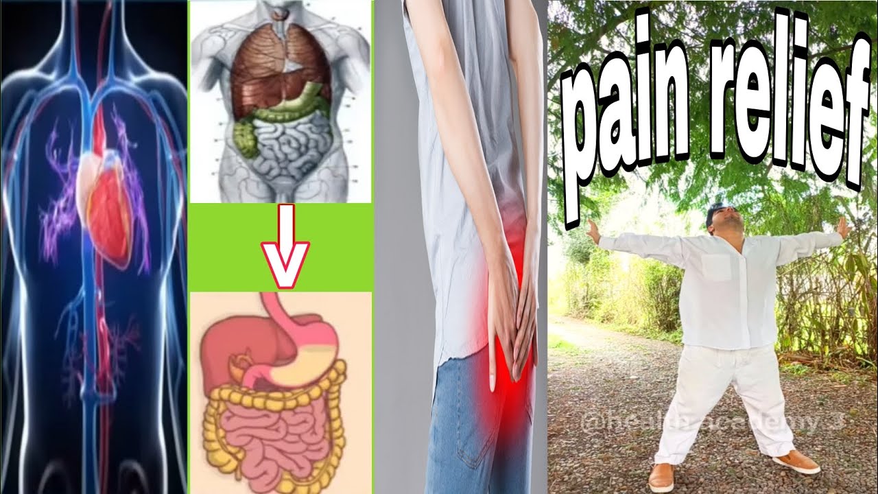 The most important pain relief exercises-health tips #painrelief - YouTube