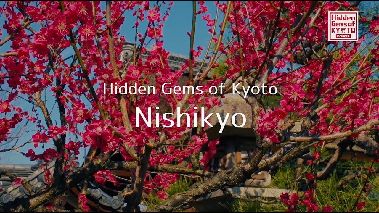 Hidden Gems of Kyoto Nishikyo - YouTube