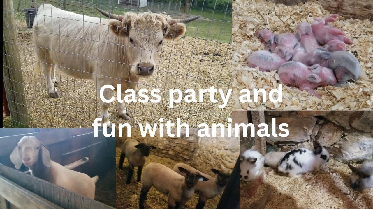 My 4th Grade End Of School Year Class Party At My Teacher's House ...