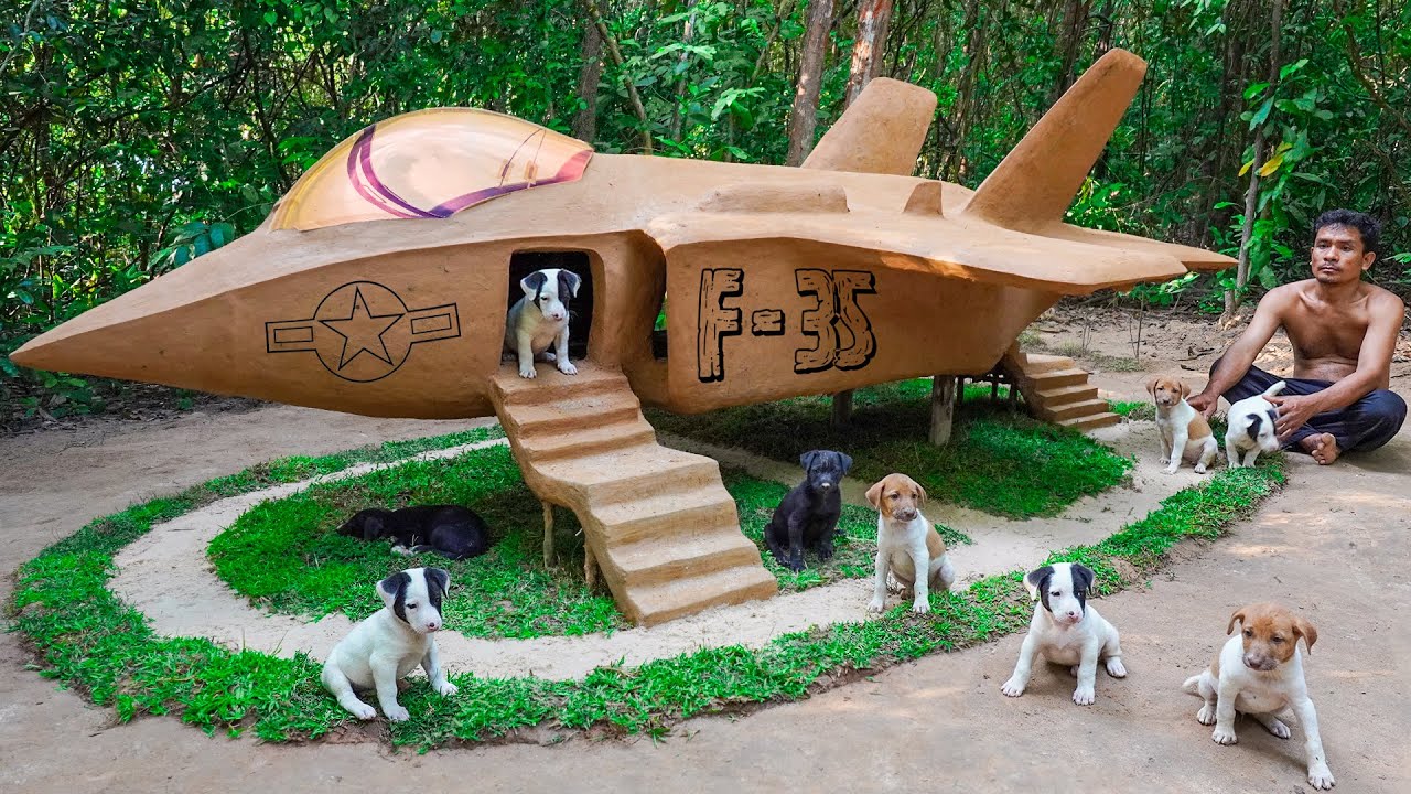 Rescue Dog Build F-35 Fighter Jet Dog House - YouTube