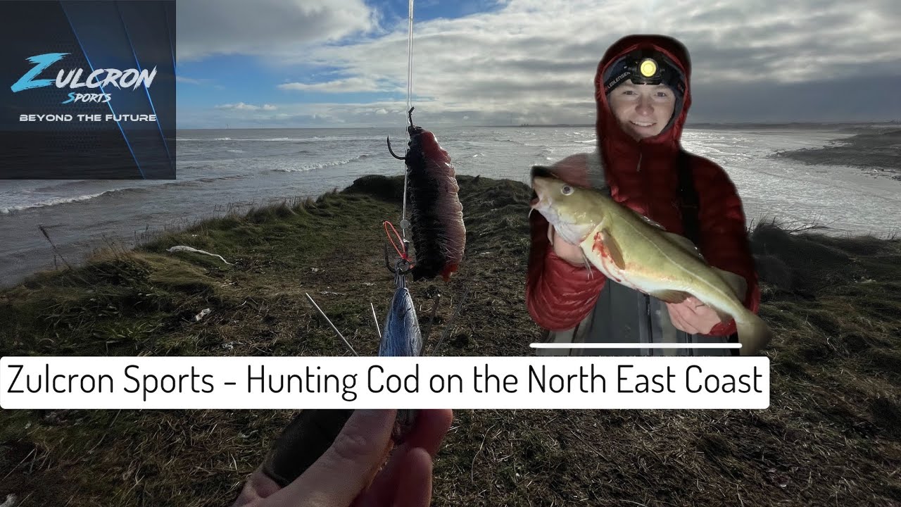 Zulcron Sports - Hunting Cod on the North East Coast | The last of the ...