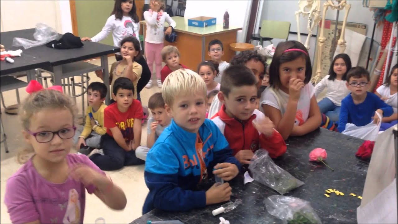 SENSES EXPERIMENTS YouTube senses-experiments-youtube