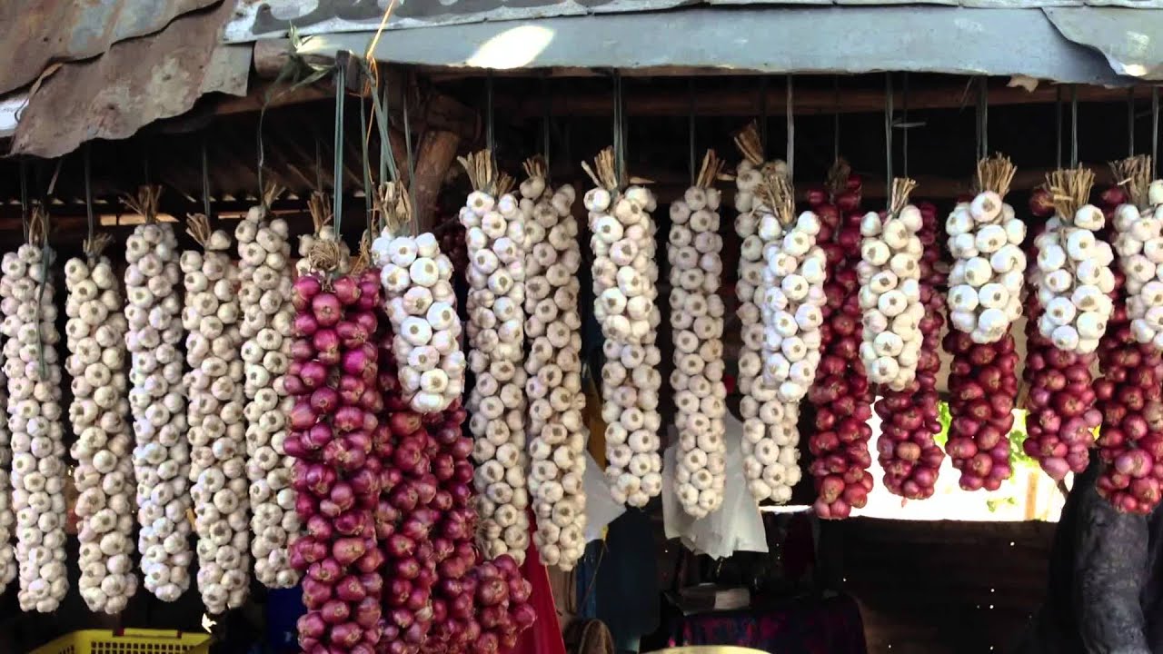 Pinili Ilocos Norte Garlic by HourPhilippines.com - YouTube
