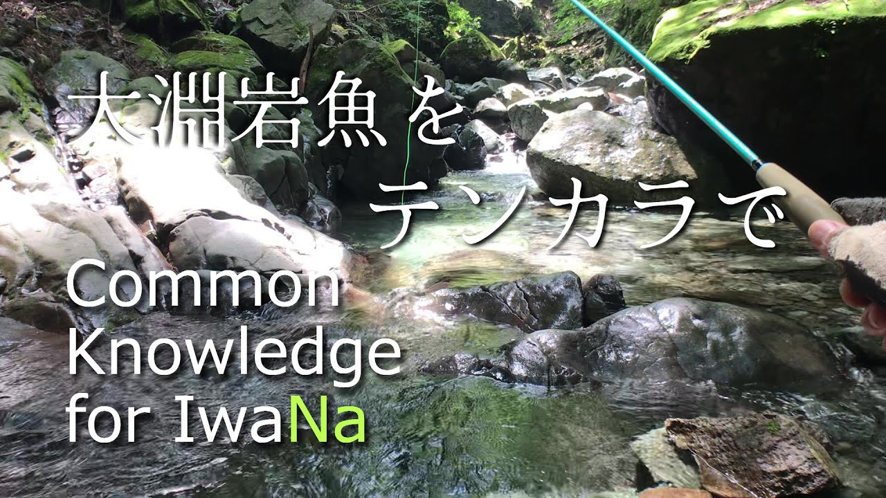 Common Knowledge for Catching Iwana - TENKARA - YouTube