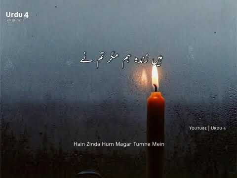 31 January 2021