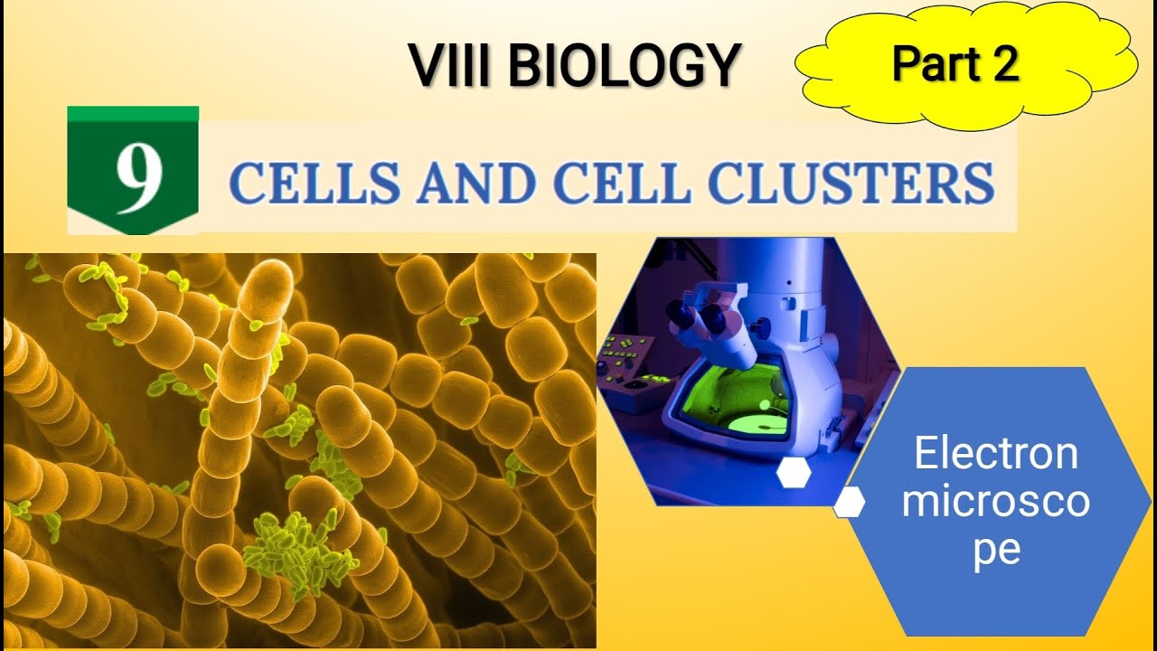 Cells and cell Clusters Class 8 biology chapter9 English medium ...