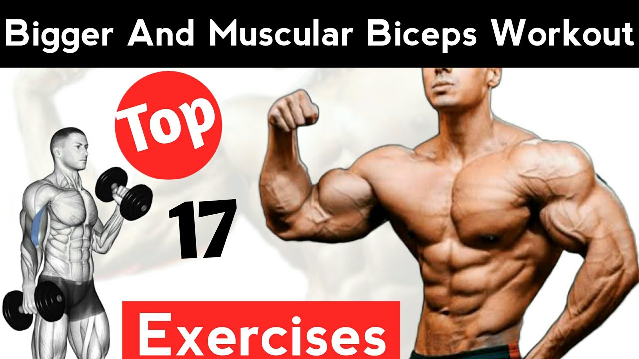 best biceps workout | full biceps workout | dumbbell biceps workout ...
