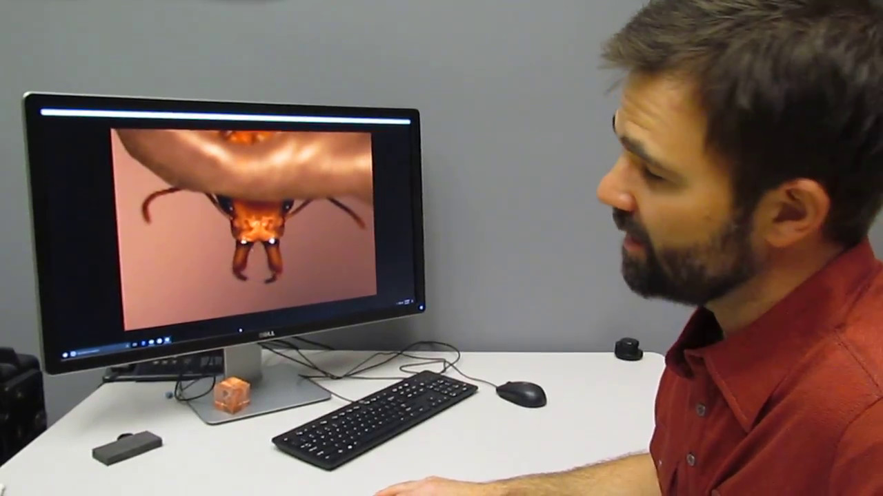 Visualization Lab - YouTube