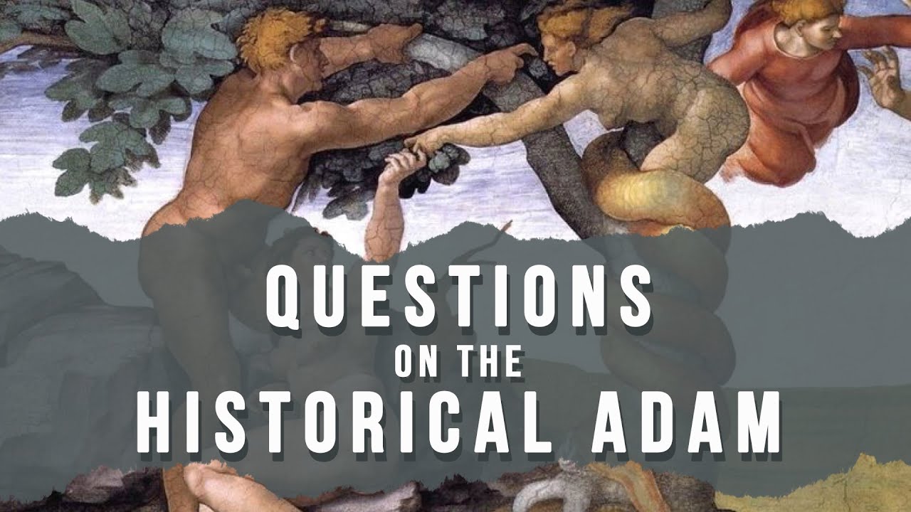 Questions on the Historical Adam | Tactical Faith - YouTube