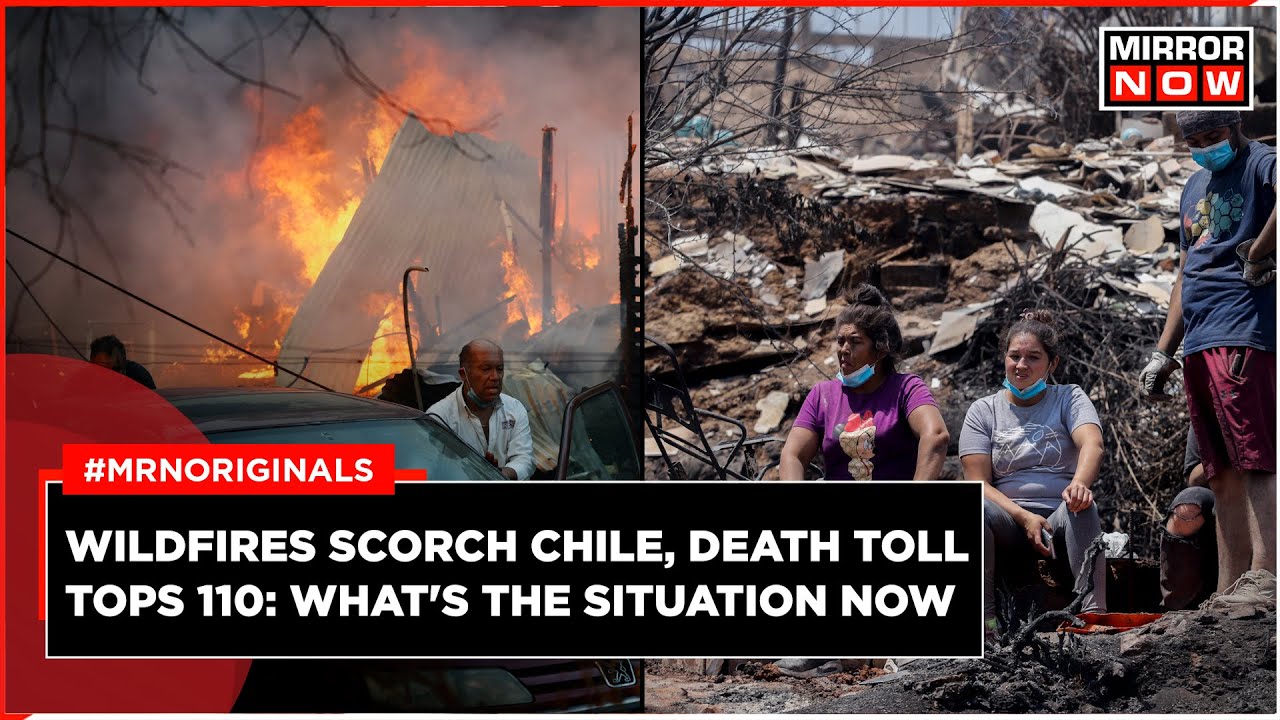 Chile Wildfires 2024 | Efforts to Contain Wildfires On | President Declares Emergency | World ...