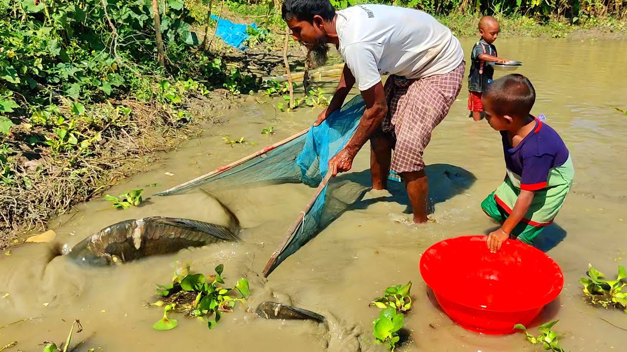 Best net fishing video | Indian traditional net fishing video by ...
