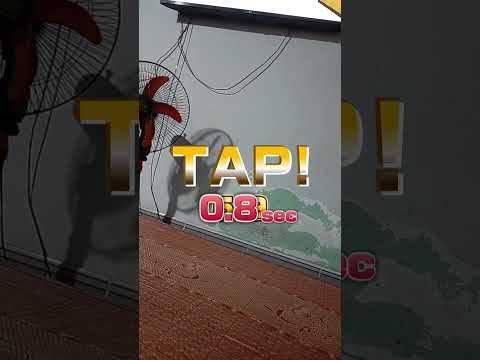 100 Tap Challenge World Record? - YouTube