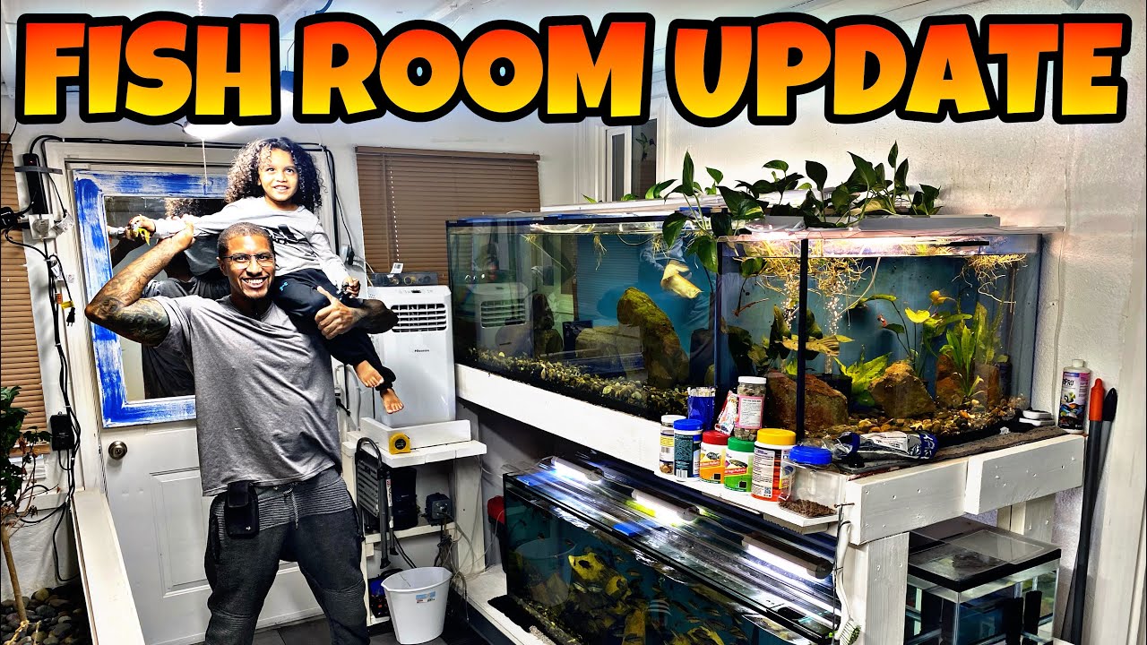 FISH ROOM UPDATE - YouTube