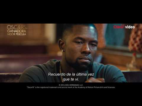 Renta | Moonlight: Luz de luna