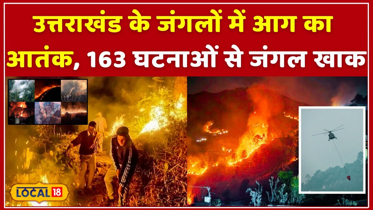 Uttarakhand Forest Fire: Almora के जंगलों में आग से बर्बादी, घटनाओं में ...