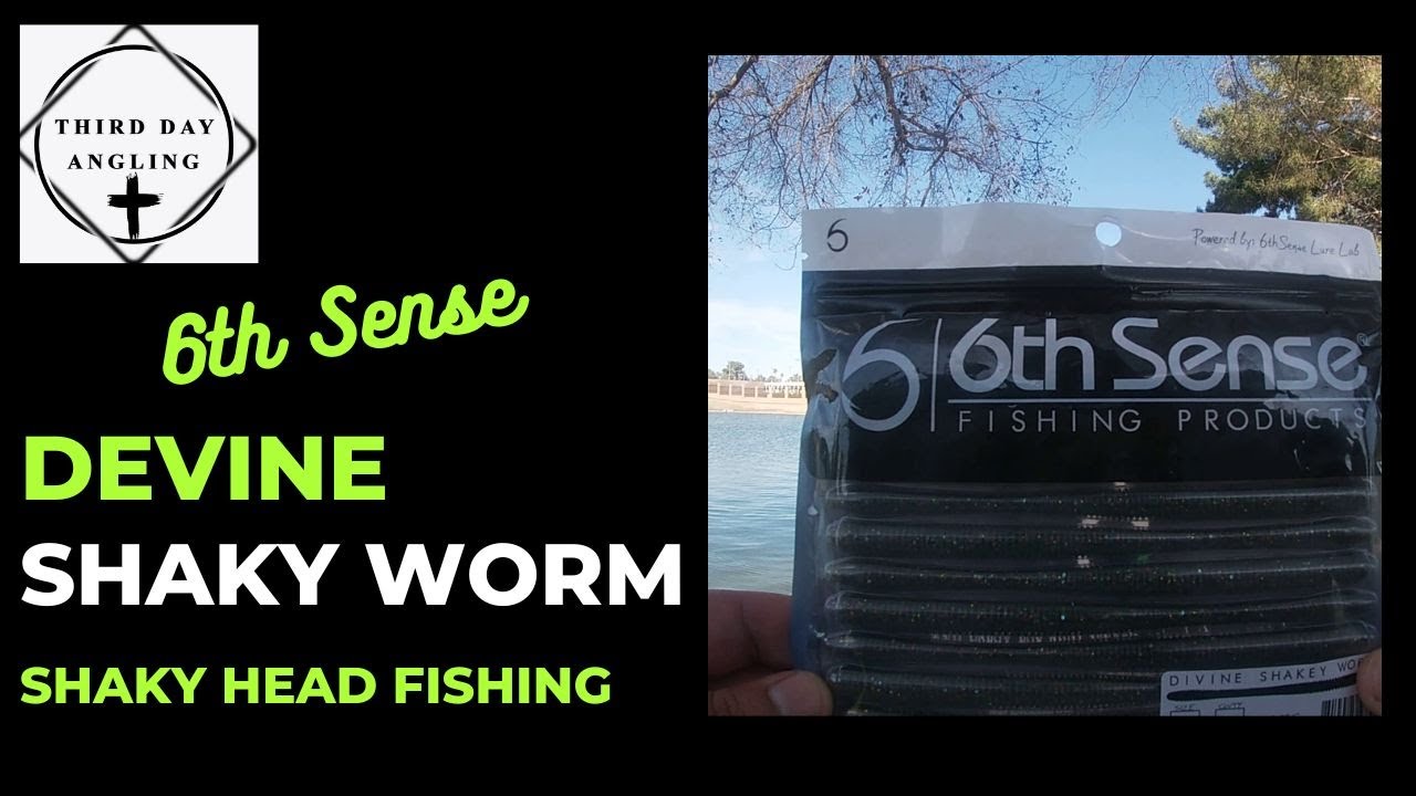 6th Sense Devine Shaky Worm: The Perfect Shaky Head Bait - YouTube