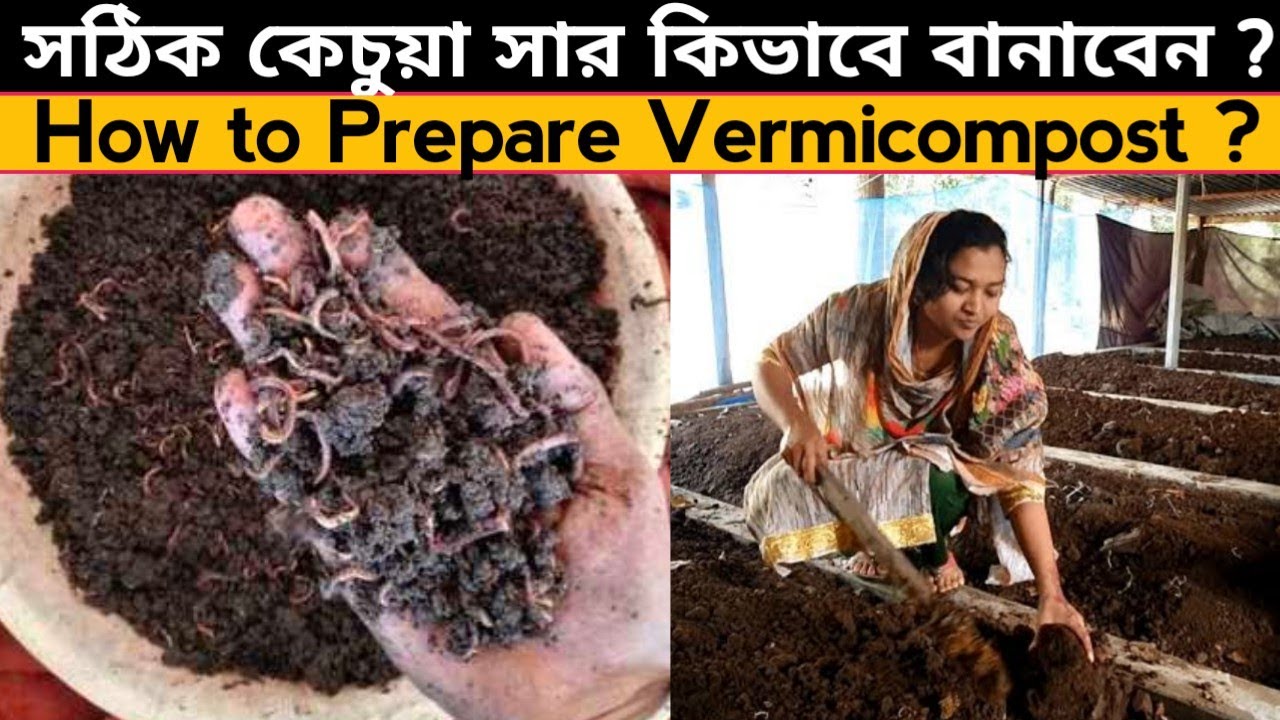 How to do Vermicompost Preparation | Right amd Easy steps | সঠিক ভাবে কেচুয়া সার কিভাবে বানাবেন ...
