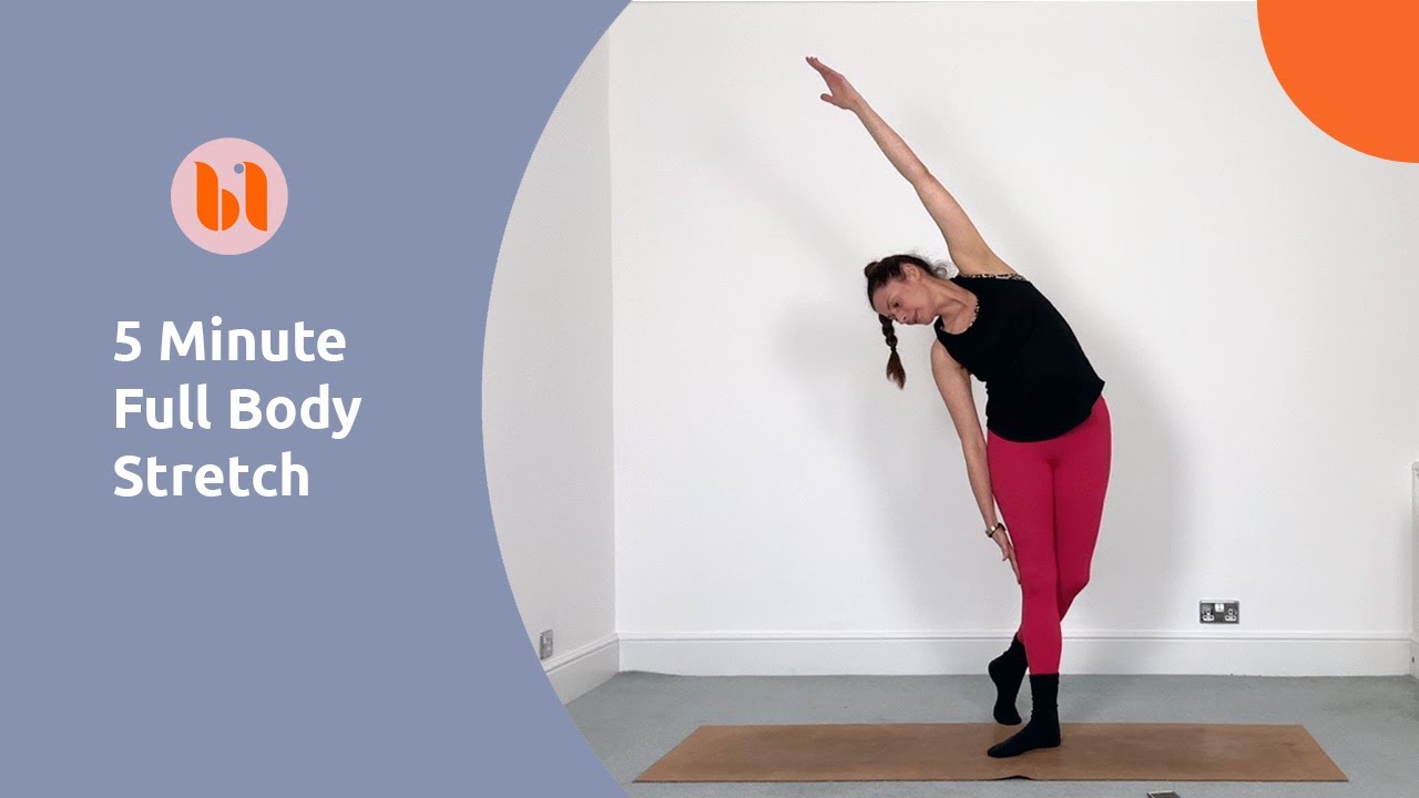5 Minute Full Body Stretch | Quick & Easy Flexibility Routine for All ...