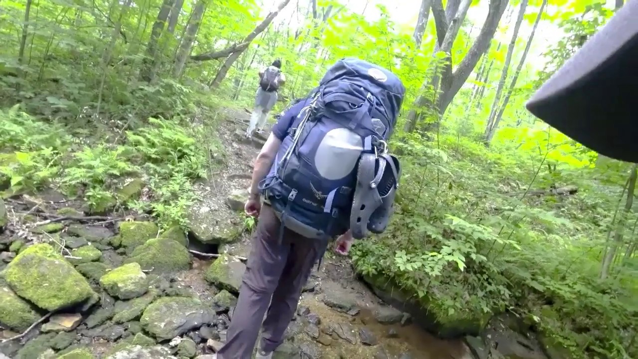 Morrison Hiking Trail Allegheny National Forest 2018 - YouTube