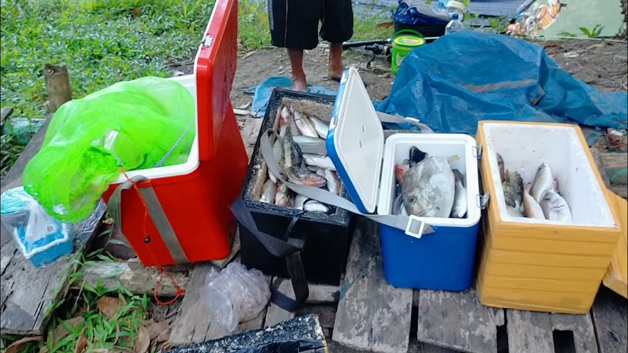 Mancing Episode 45 || Mancing Di Laut || Brewog mancing - YouTube