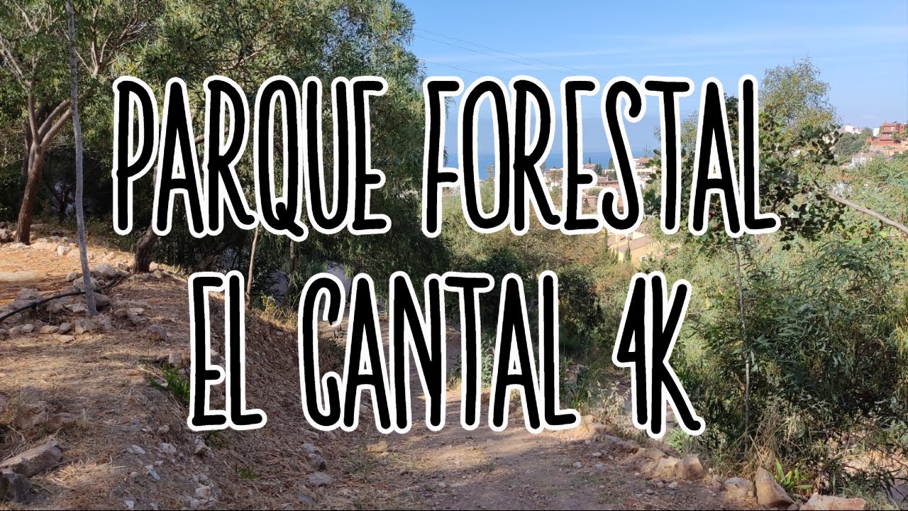 PARQUE FORESTAL EL CANTAL 4K (LA CALA DEL MORAL - RINCÓN DE LA VICTORIA ...