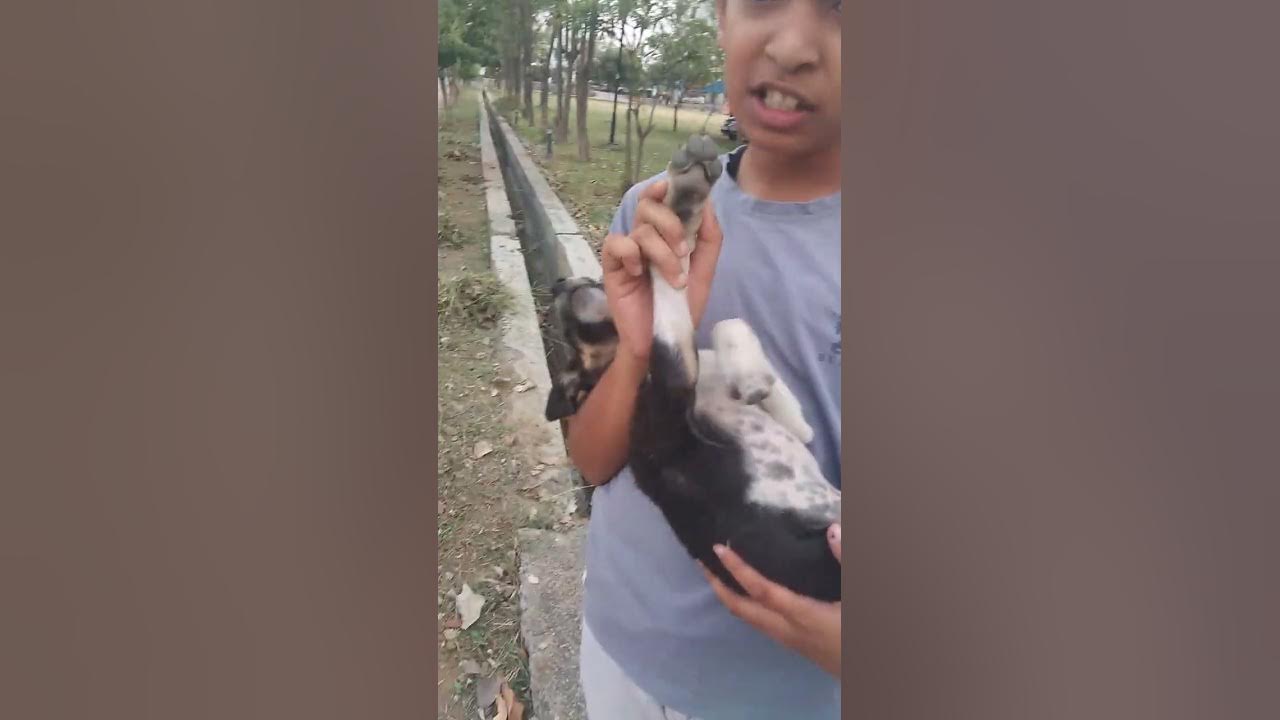 My Friend broke his knee | vlogs | - YouTube