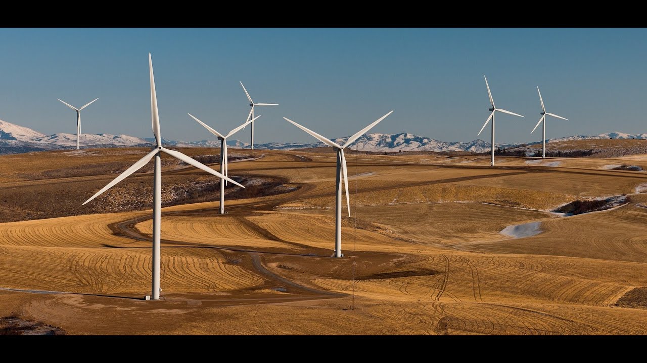 Wind Ventures Is Looking For Startups In Latin America - YouTube