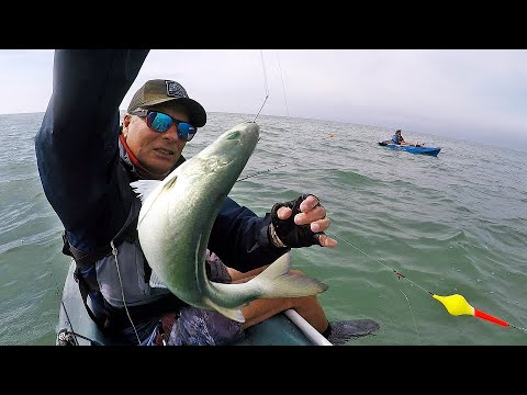 ESTA BOYA PESCA SOLA, MIRA LO QUE PESQUE, INCREÍBLE... - YouTube
