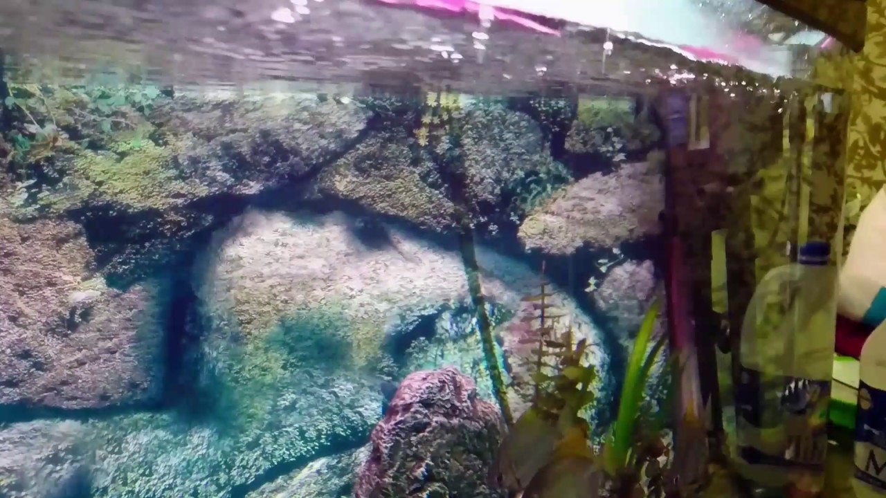 Water Agitation test - YouTube