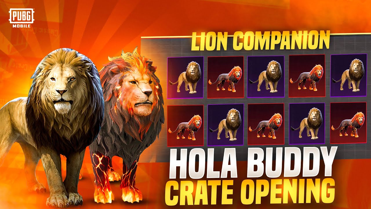 😱HEAVY LION HOLA BUDDY CRATE OPENING - YouTube
