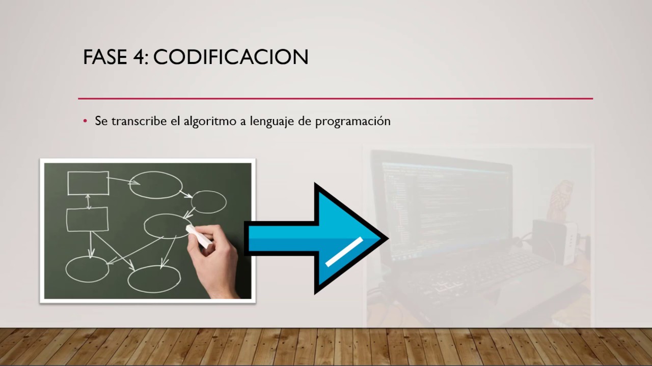 05 - FASES EN LA CREACION DE UN PROGRAMA - YouTube
