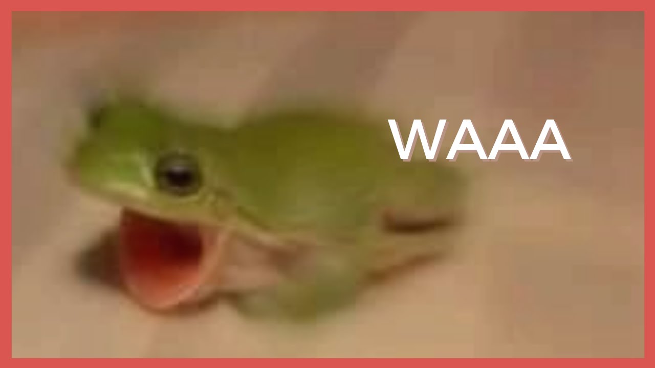 WAAA | OUT OF CONTEXT PUBS - YouTube