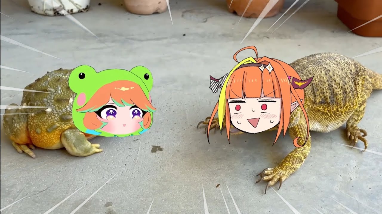 Kiara frog Vs Coco dragon 2 | Animal hololive - YouTube