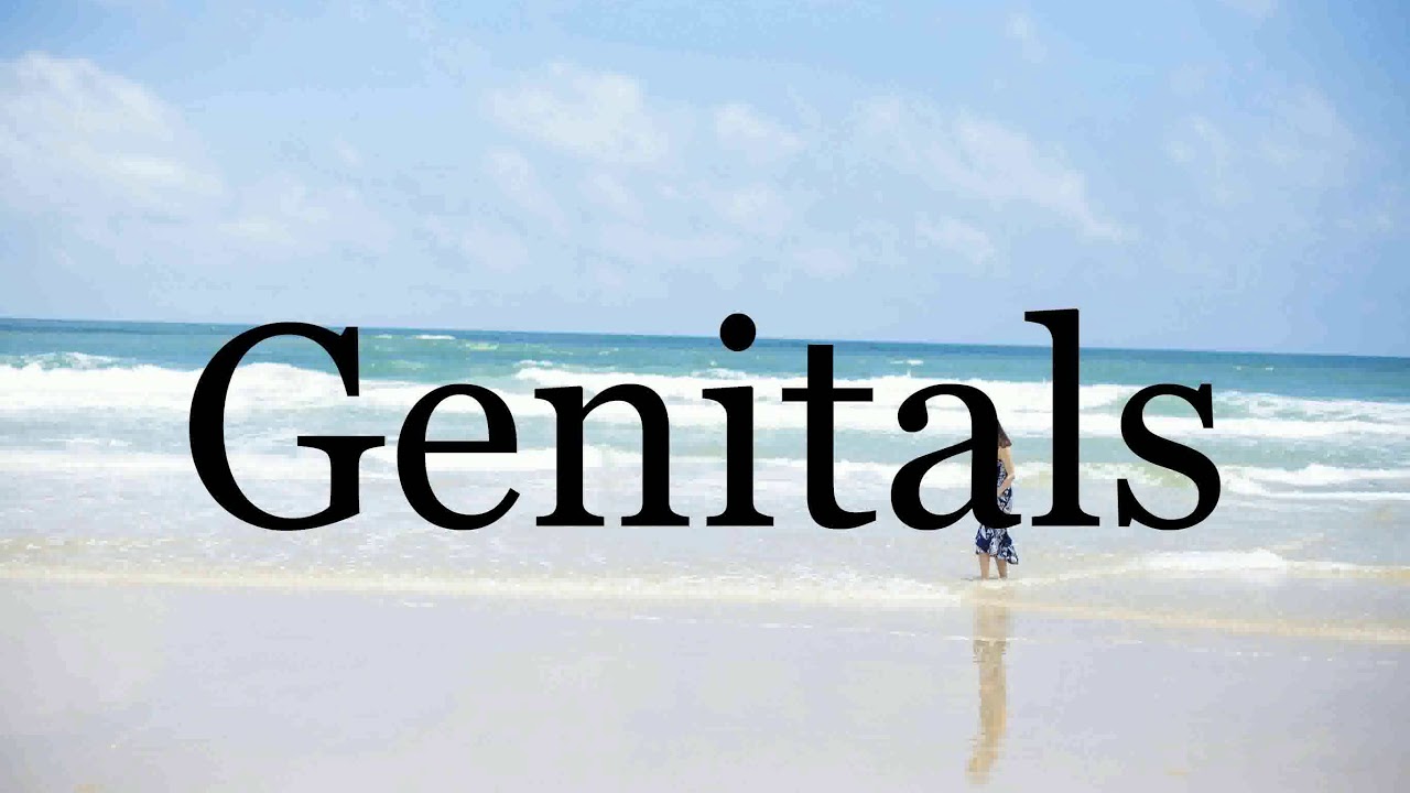 Genial Tubercles Definition