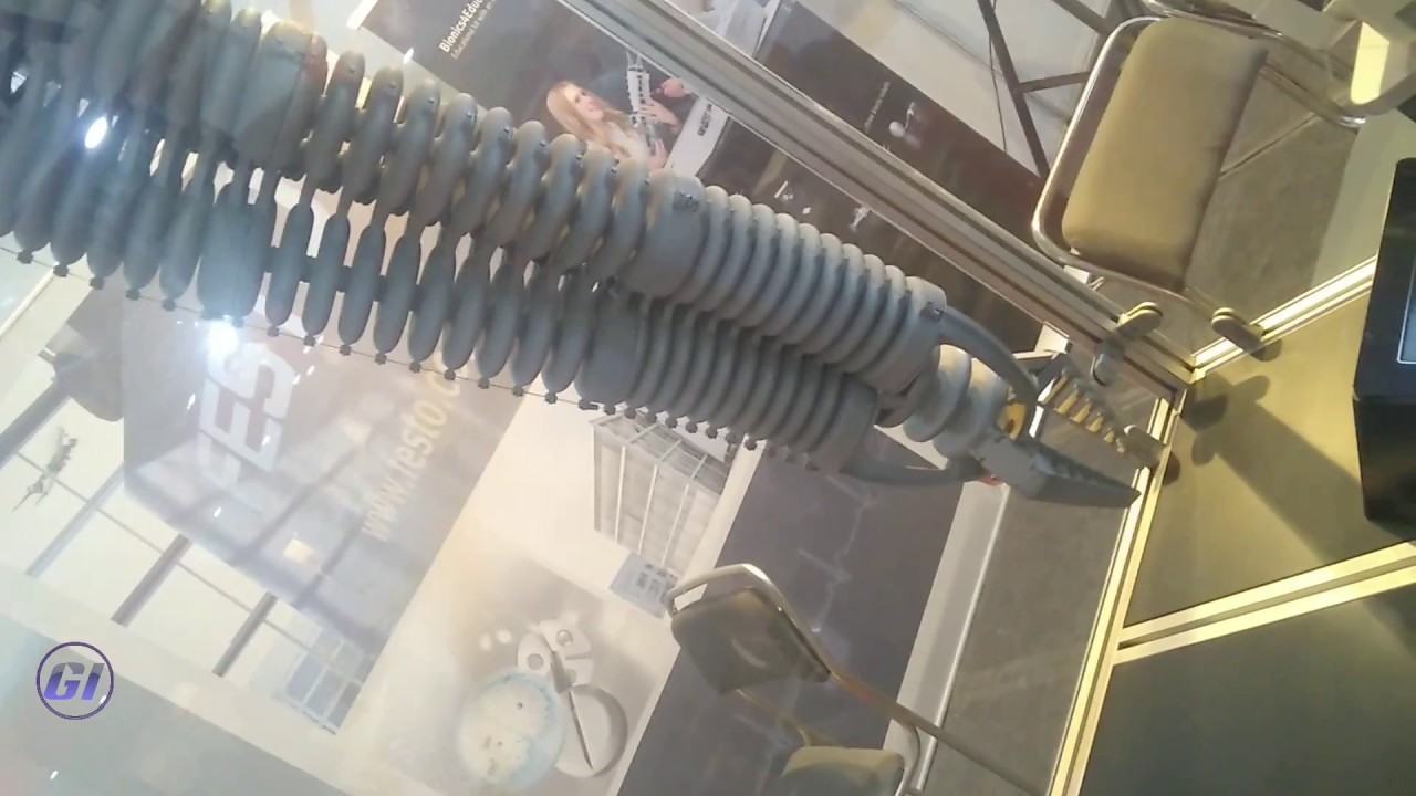 Robotic Arm Inspired By Elephant Trunk - YouTube