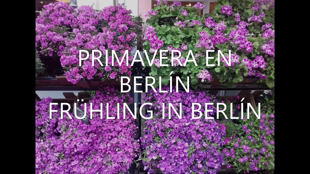 INVIERNO Y PRIMAVERA EN BERLIN - YouTube