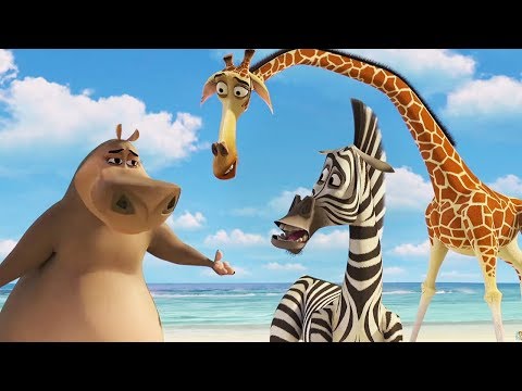 DreamWorks Madagascar em Português | San Diego! - Clipe de Filme Madagascar |  Desenhos Animados
