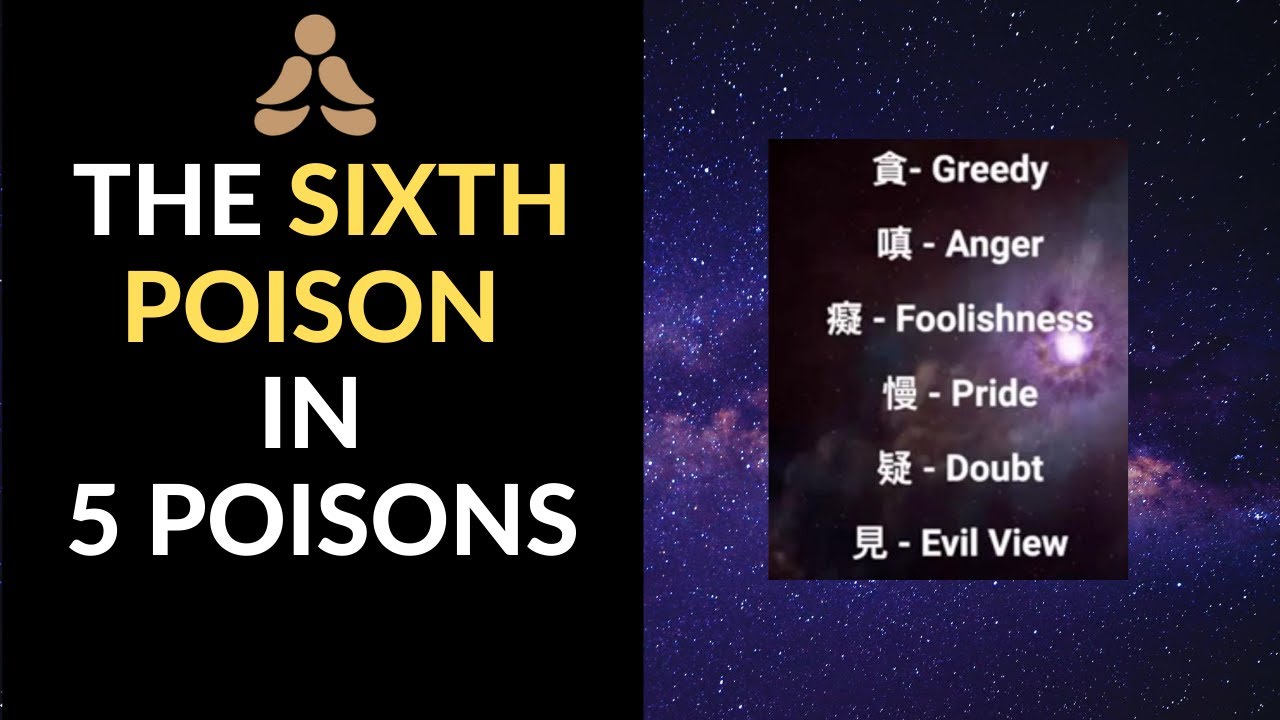 THE SIXTH POISON IN 5 POISONS | YNC Academy - YouTube