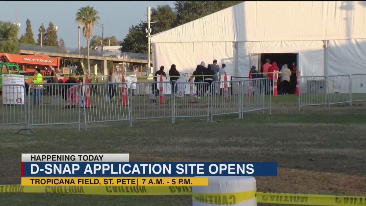 D-SNAP site opens for Pinellas County residents in need of food ...