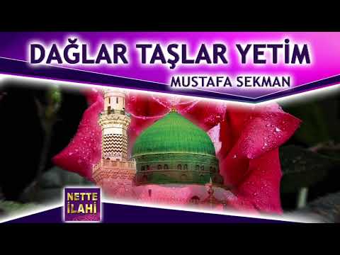Dağlar Taşlar Yetim İlahisi I Mustafa Sekman I Nette İlahi