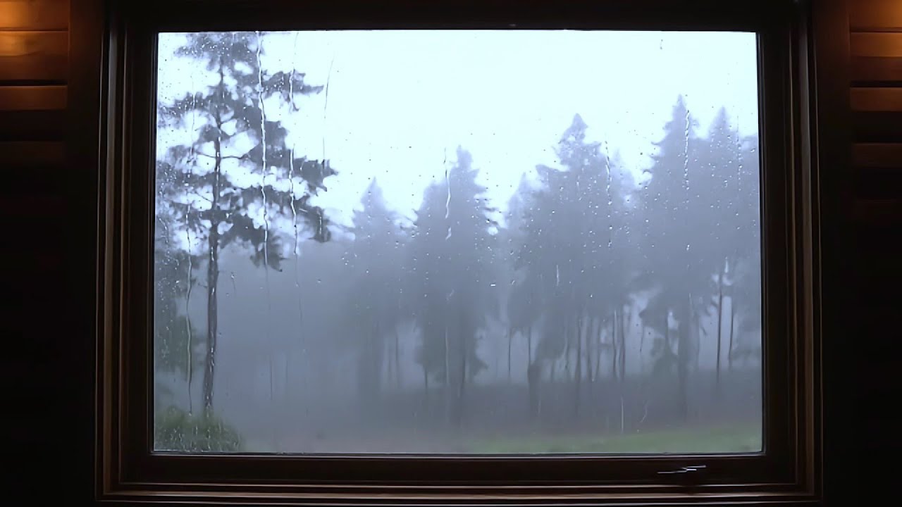 Heavy Rainfall Sounds for Sleeping, Relaxing, and Mindful Meditation ...