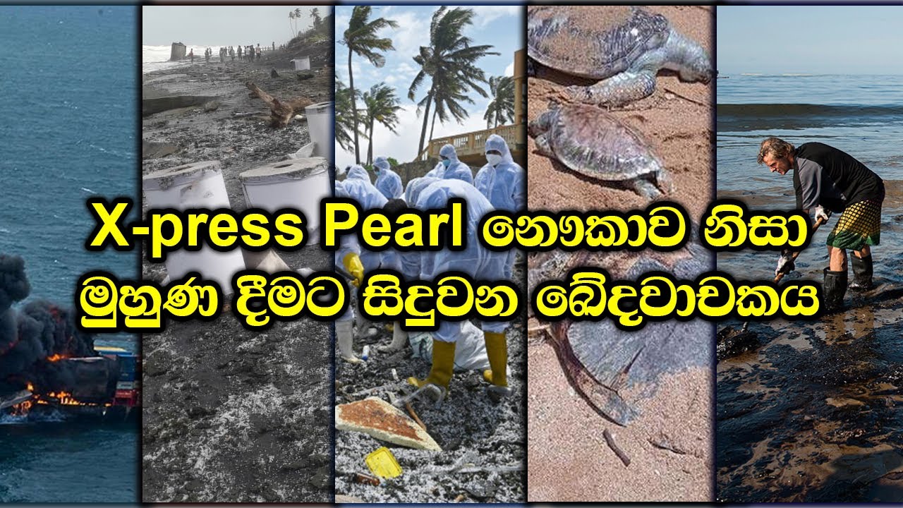 X press Pearl නෞකාව නිසා මුහුණ දීමට සිදුවන ඛේදවාචකය | Xpress Pearl ship ...